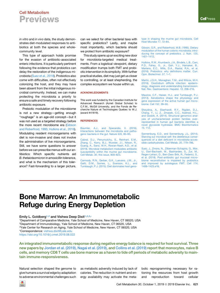 Bone Marrow An ImmunometabolicRefuge During Energy Depletion | PDF ...