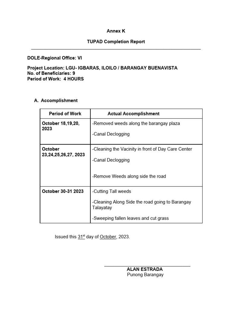 TUPAD Completion Report for Barangay Buenavista | PDF | Home & Garden ...