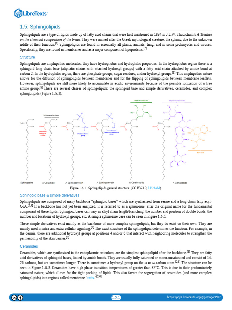 1.05 Sphingolipids | PDF | Cell Membrane | Cell Signaling