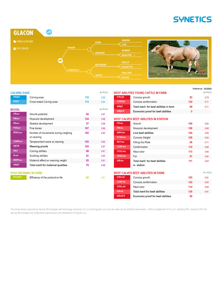 Bull Evolution International 2024-02-16 04-50-51 | PDF | Beef | Cattle