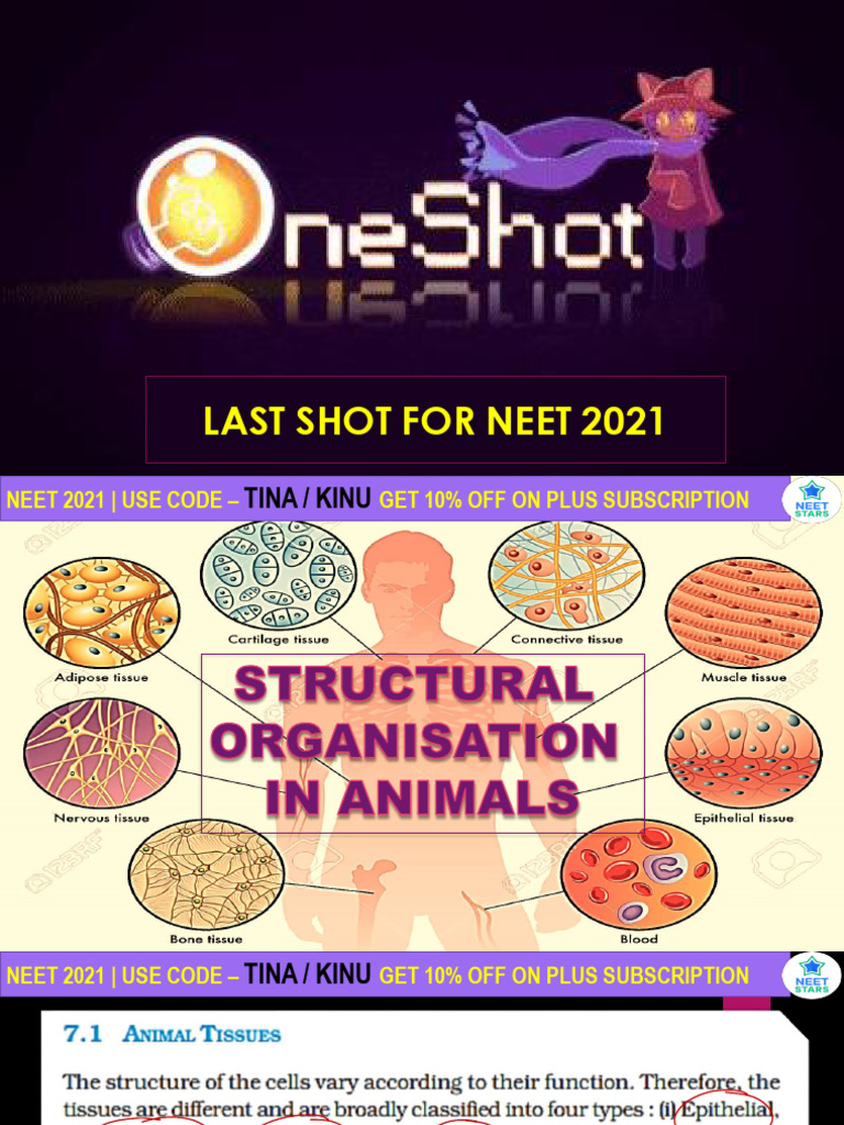 Animal Tissue | PDF | Arthropods | Animal Anatomy