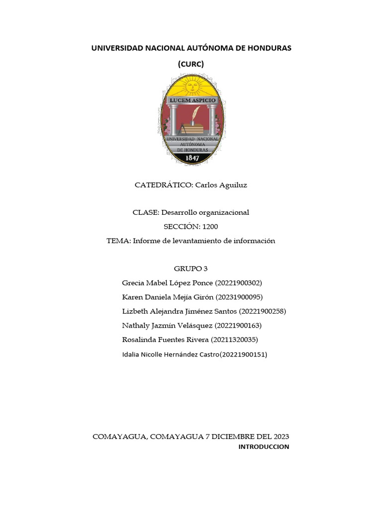 Informe de Levantamiento de Informacion | PDF | Business | Liderazgo