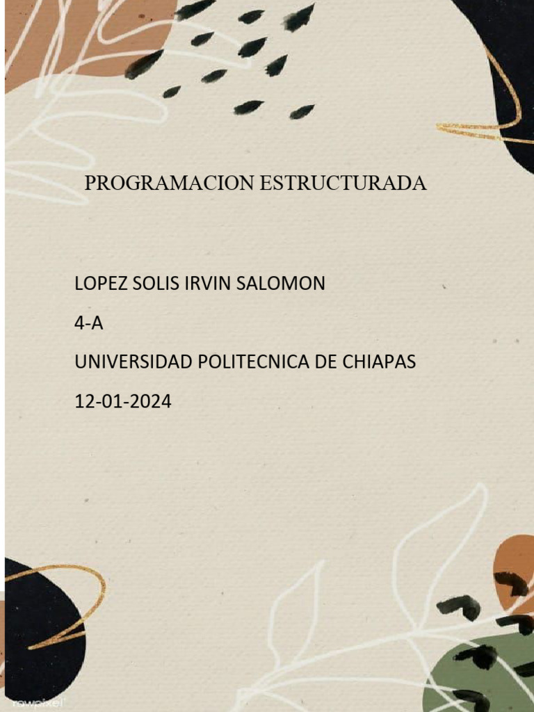 Electronica | PDF | Lenguaje de programación | Programación de computadoras