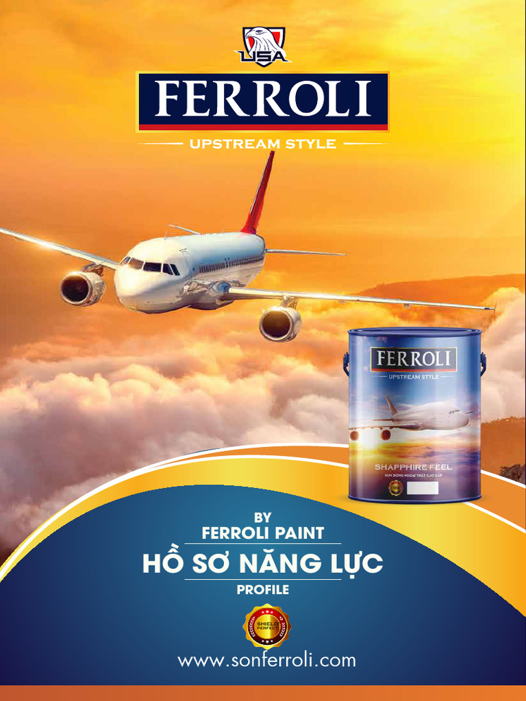 Catalogue Ferroli | PDF