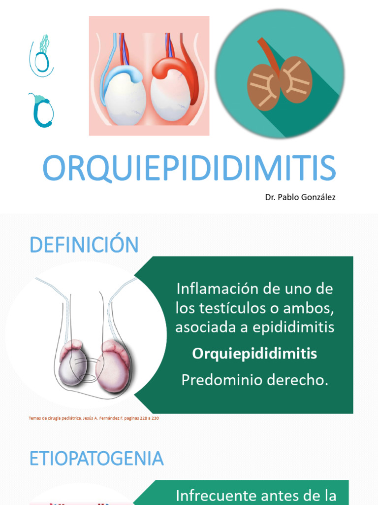 ORQUIEPIDIDIMITIS Pablo | PDF | Especialidades Medicas | Medicina CLINICA