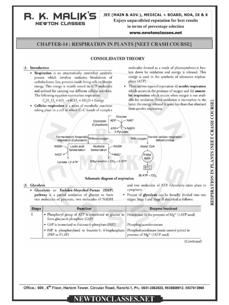 Respiration in Plants | PDF