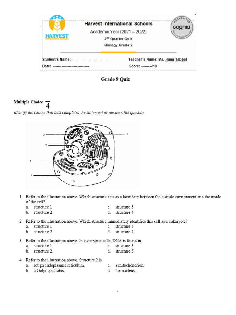 Grade 9 Q | PDF | Cell (Biology) | Eukaryotes