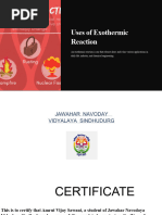 Class Xii TH English Project Keeping Quiet | PDF