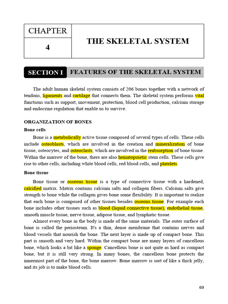 Reading 3 The Skeletal System | PDF | Bone | Anatomical Terms Of Motion