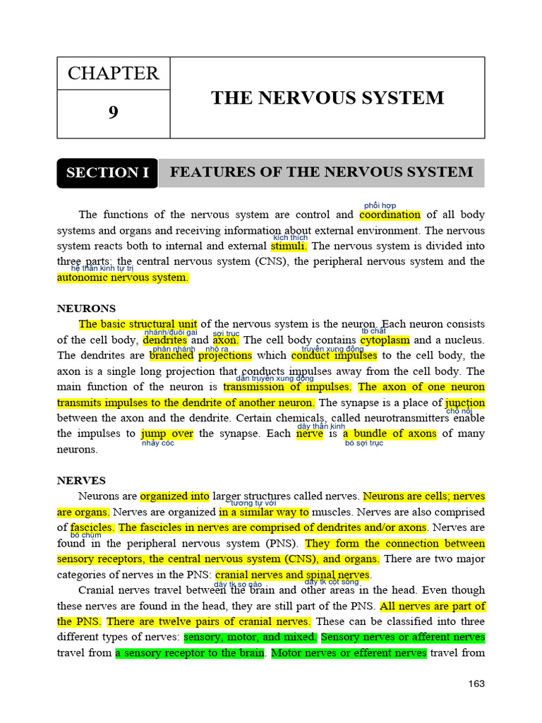 Reading 7 The Nervous System | Download Free PDF | Nerve | Central ...