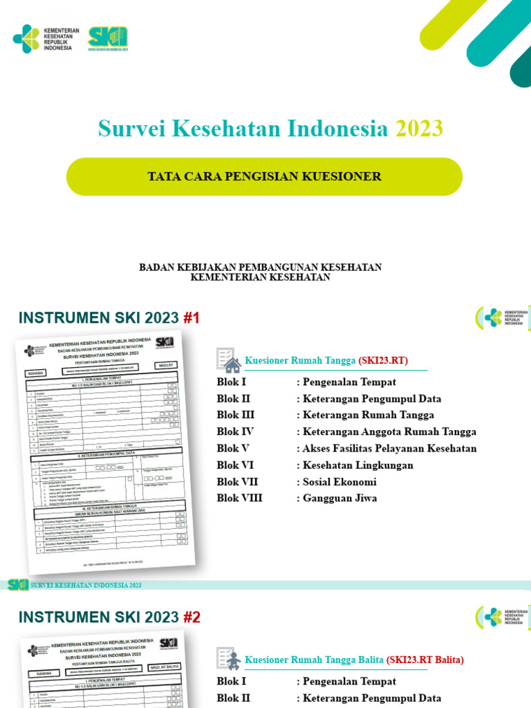 Tata Cara Pengisian Kuesioner SKI 2023 | PDF