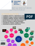 Suelos Fluvisoles: Importancia y Uso | PDF | Suelo | Riego