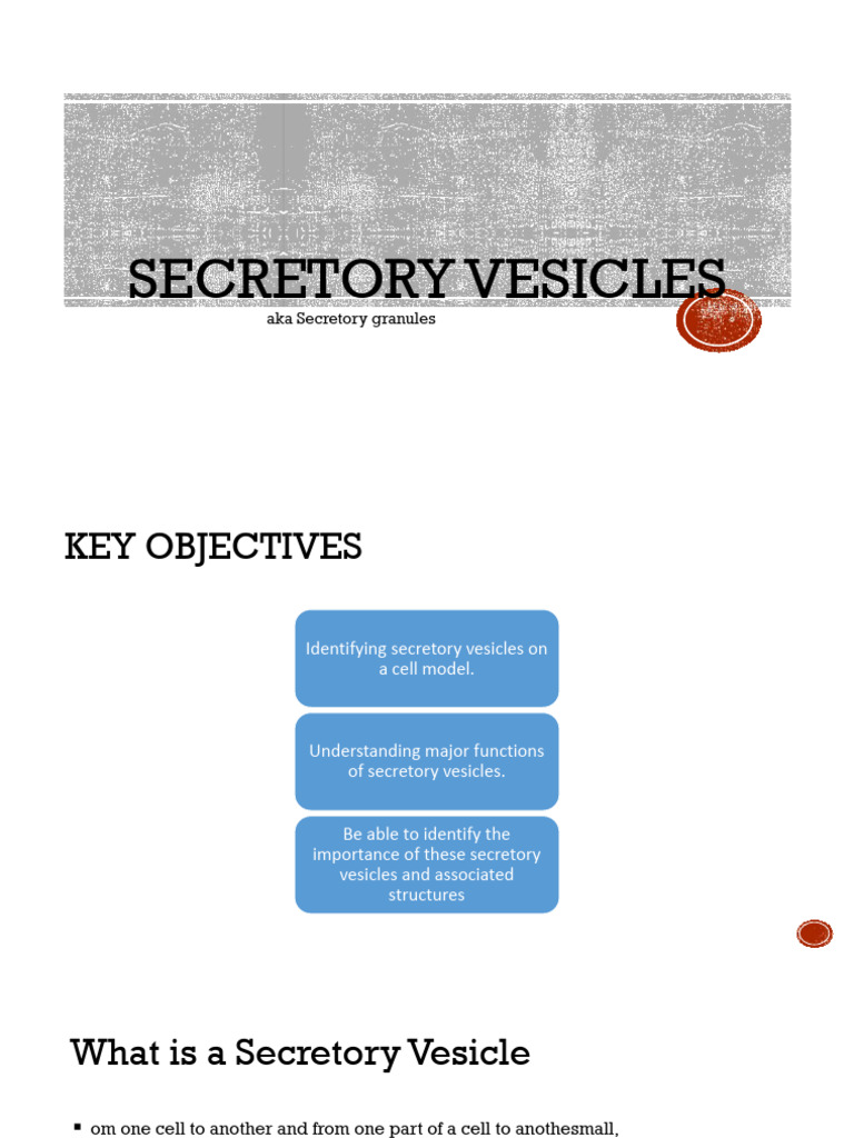 Share SECRETORY VESICLES | PDF | Vesicle (Biology And Chemistry) | Cell ...