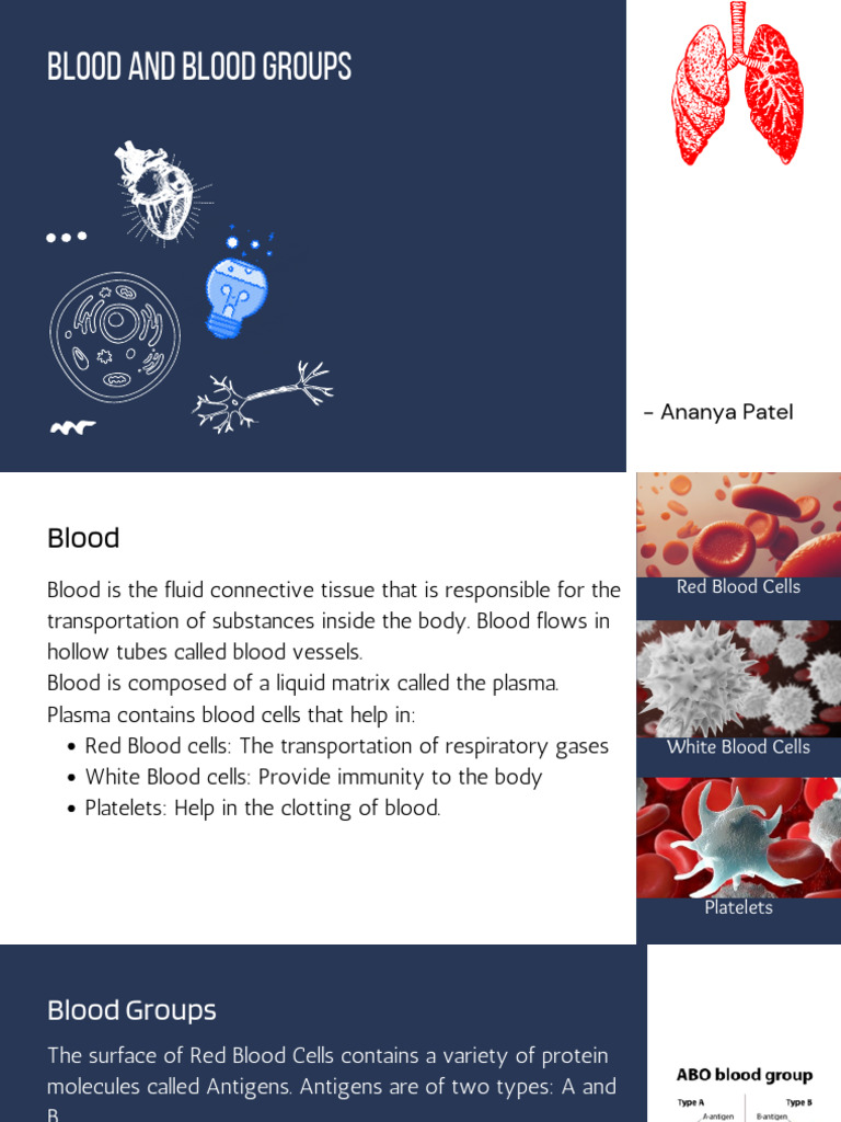 Blood and Blood Groups | PDF | Blood Type | Blood