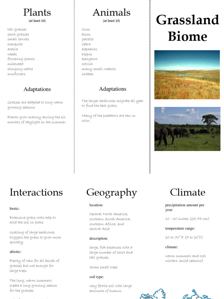 Grassland Biome: Plants and Animals | PDF | Home & Garden | Science ...