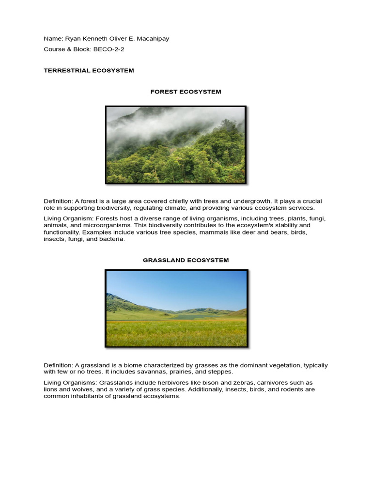 Assignment | PDF | Grassland | Habitat