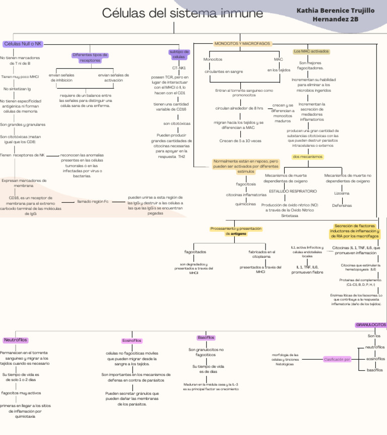 Células Del Sistema Inmune | Descargar gratis PDF | Inflamación | Sistema inmune