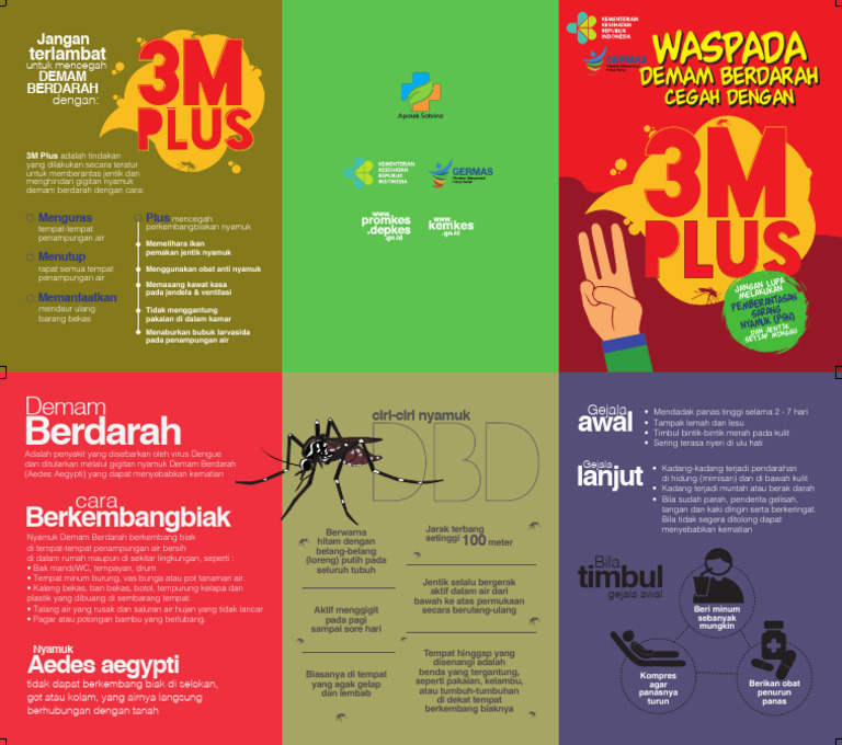 Files21726Leaflet DBD 3M | PDF