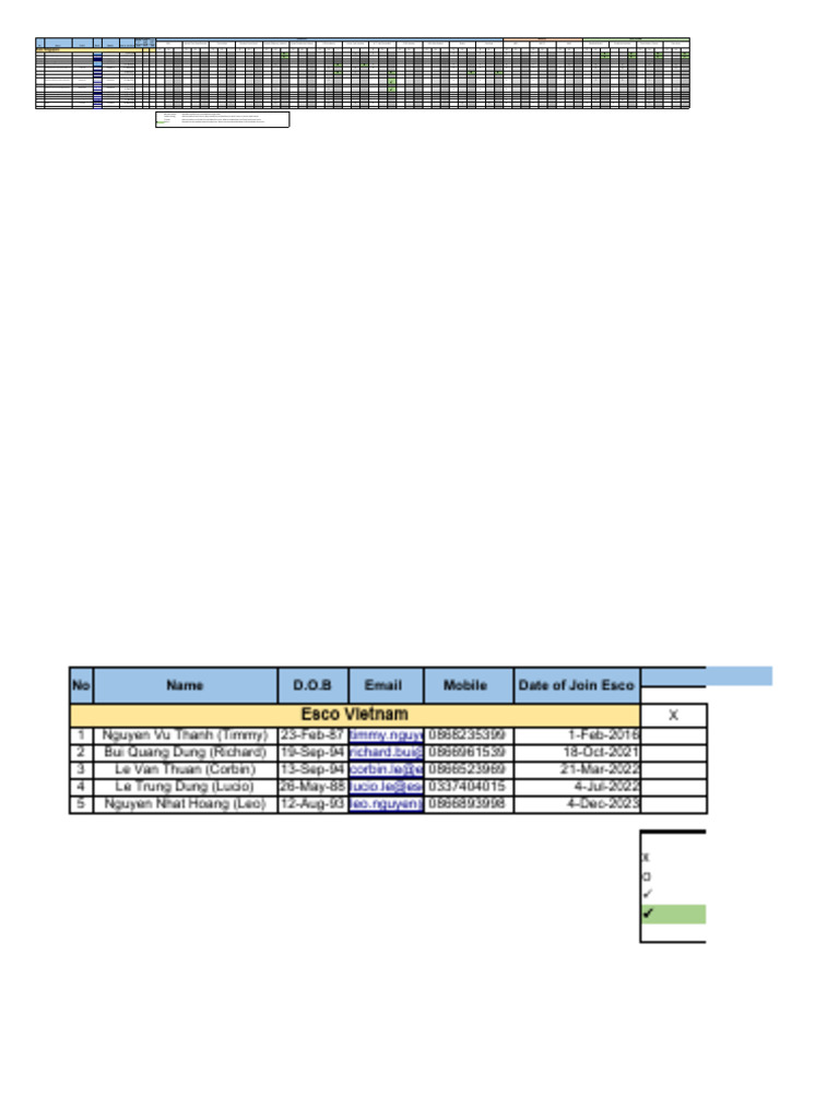 Engineer Skills Matrix Layout - Vietnam | PDF