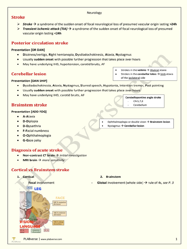 Neurology | PDF