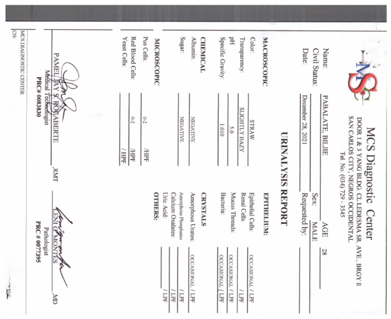 Urinalysis Report | PDF