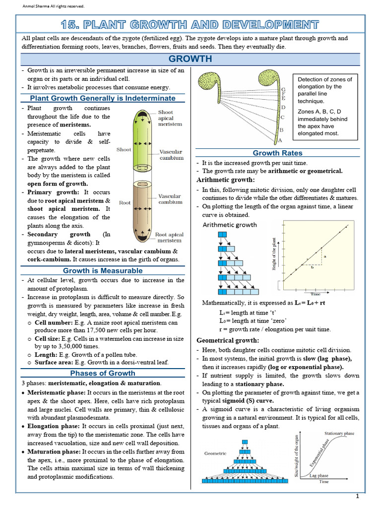 15 Plant Growth N Development | PDF | Plant Hormone | Auxin