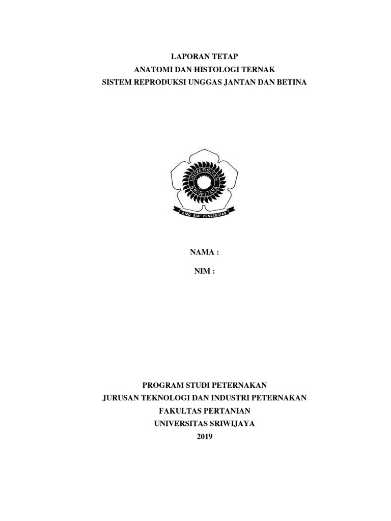 Contoh Laporan Pdf