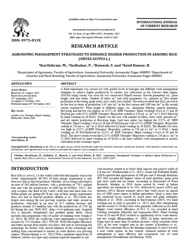 Agronomic Management Strategies To Enhance Higher Production in Aerobic ...