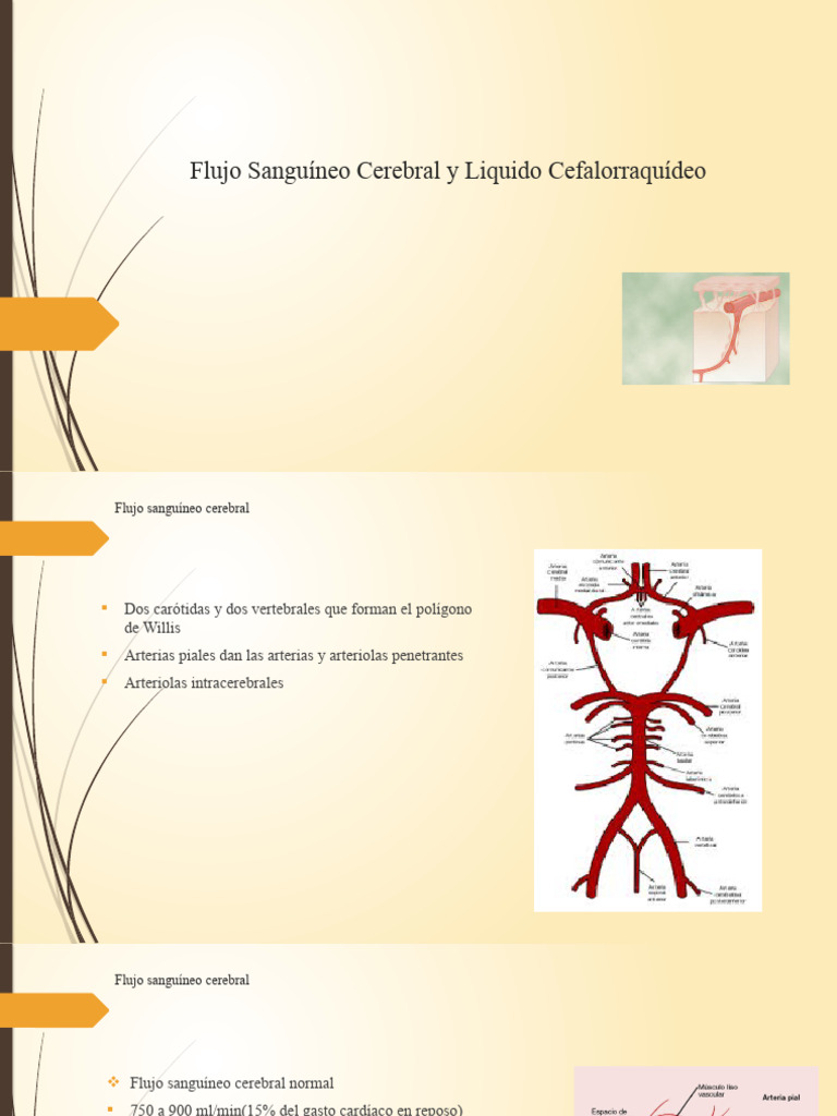 Flujo Sanguineo Cerebral | PDF | Fluido cerebroespinal | Edema