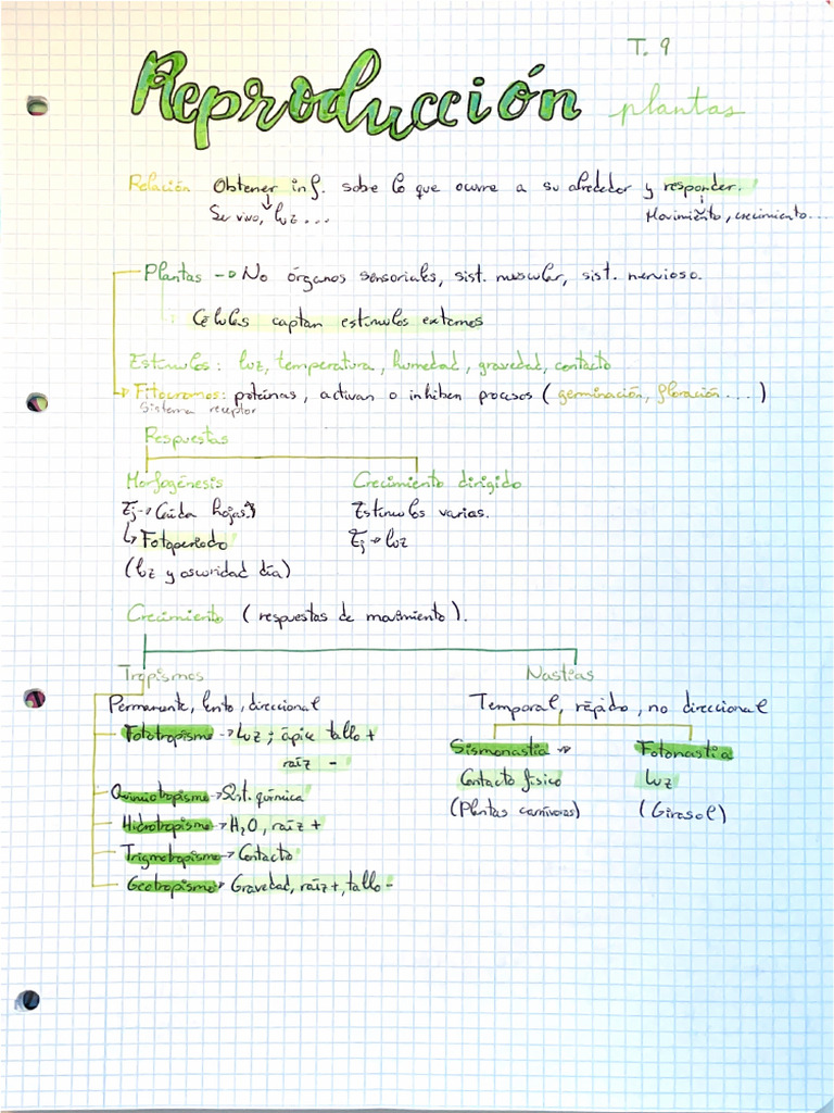 Mapa Conceptual (23 Ene 2023, 17:19) | PDF