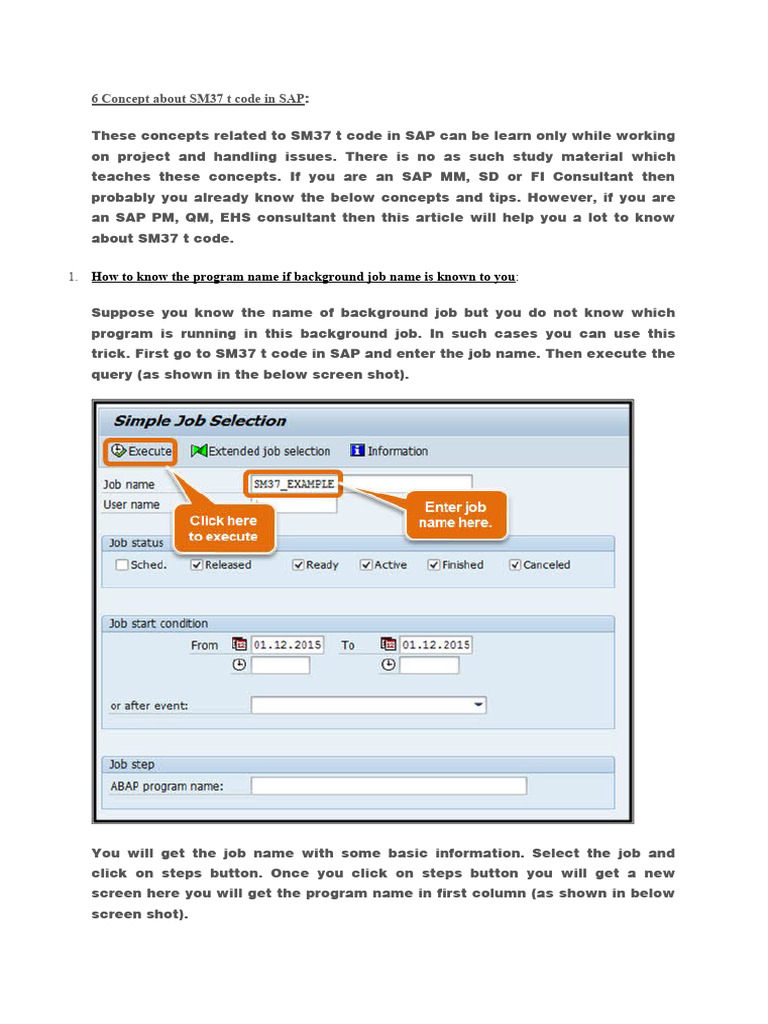 6 Concept About SM37 TR Code in SAP | PDF | Consultant | Information ...