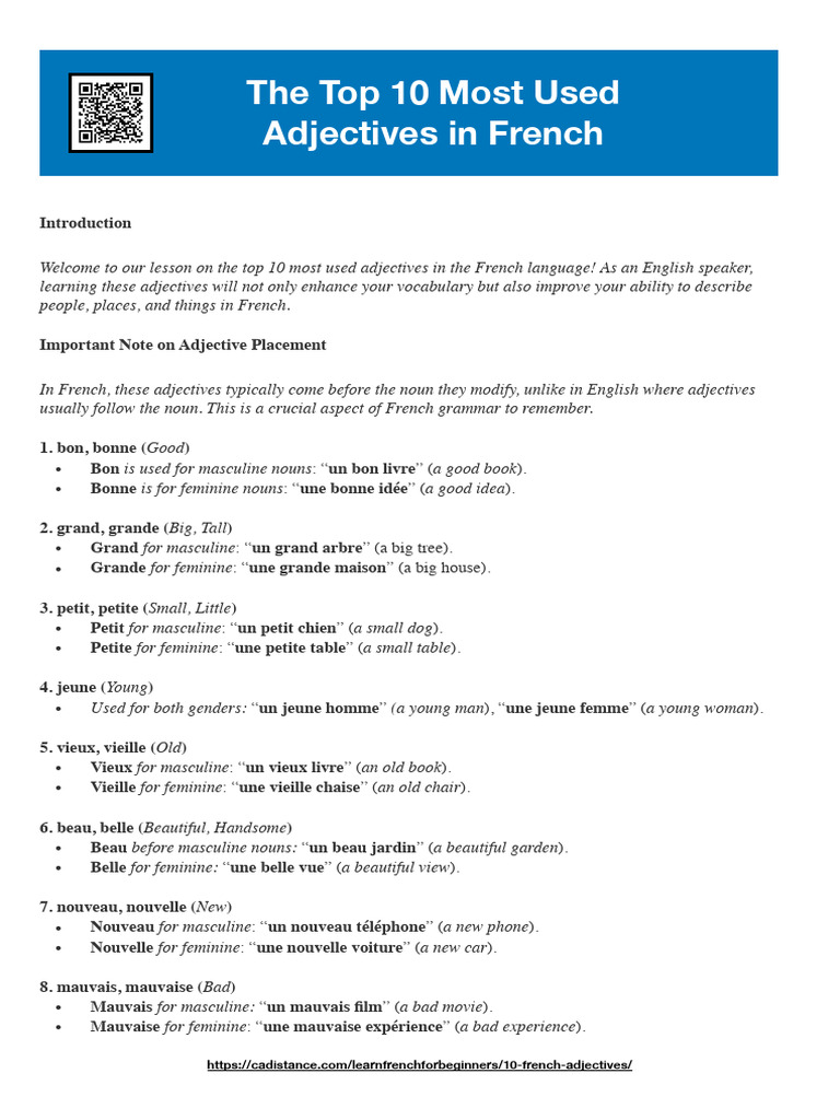 Lesson 21 - 10 French Adjectives | PDF | Grammatical Gender | Linguistics