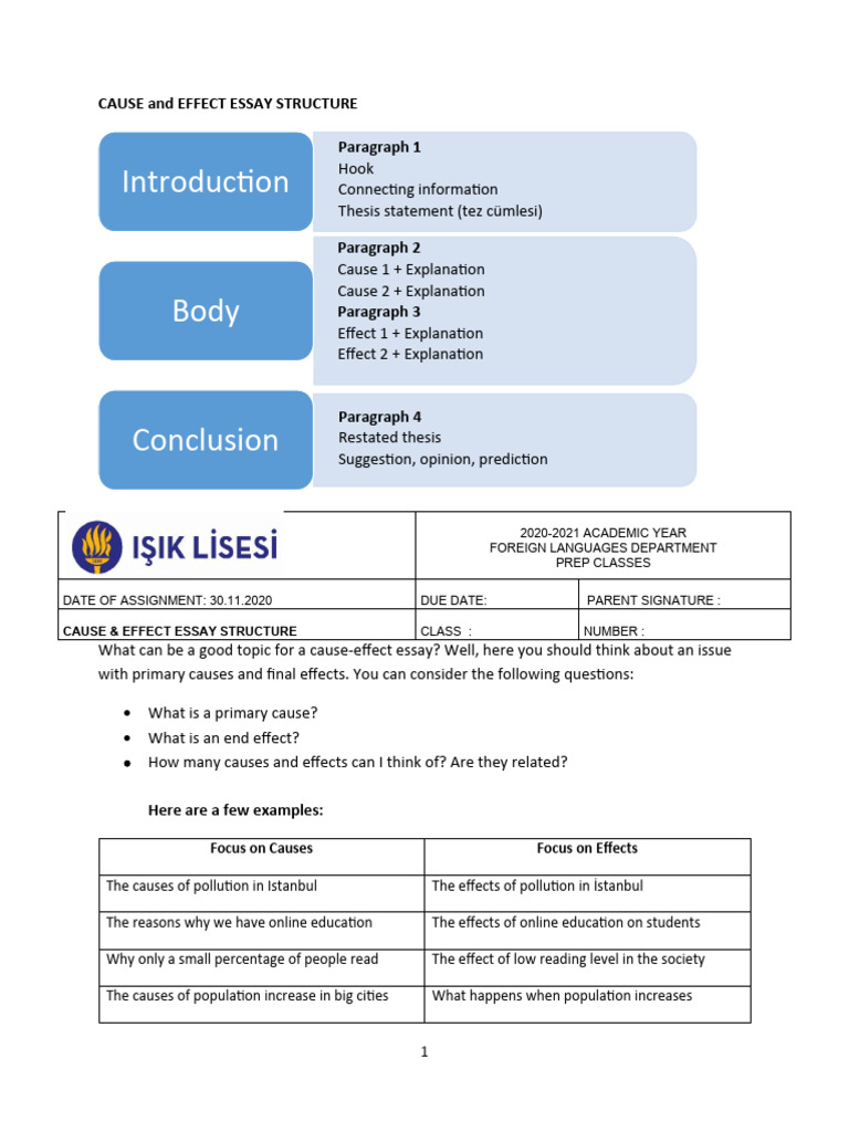 Cause and Effect Essay Structure | PDF | Essays | Cognition