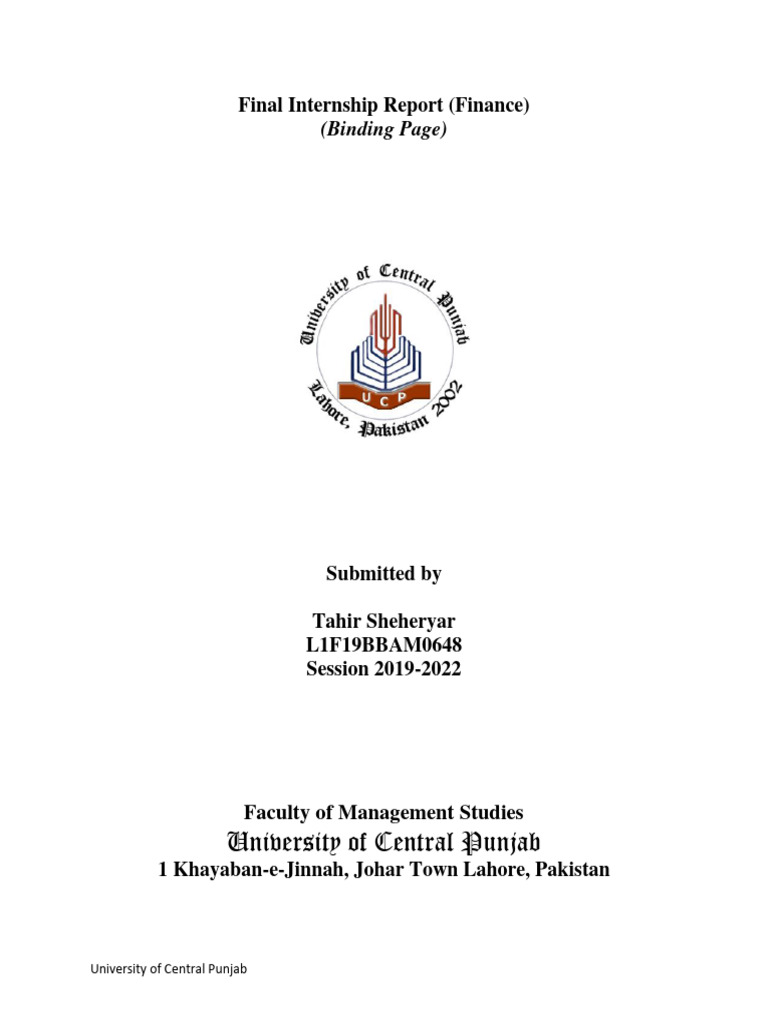 Internship Final Report | PDF | Learning | Expense