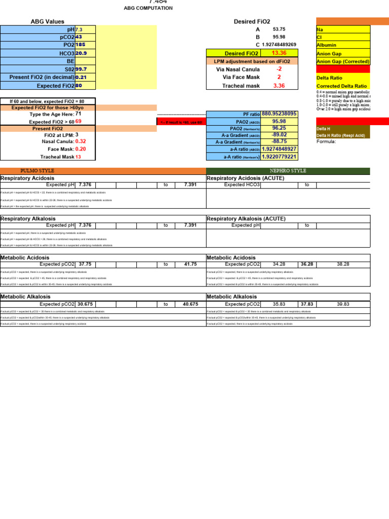 ABG Analysis & FiO2 Calculation Guide | PDF | Metabolism | Metabolic ...