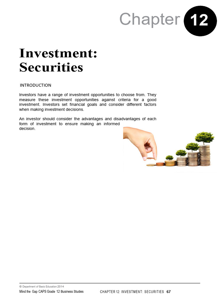 Grade 12 Investment Securities Overview | PDF | Finance & Money Management