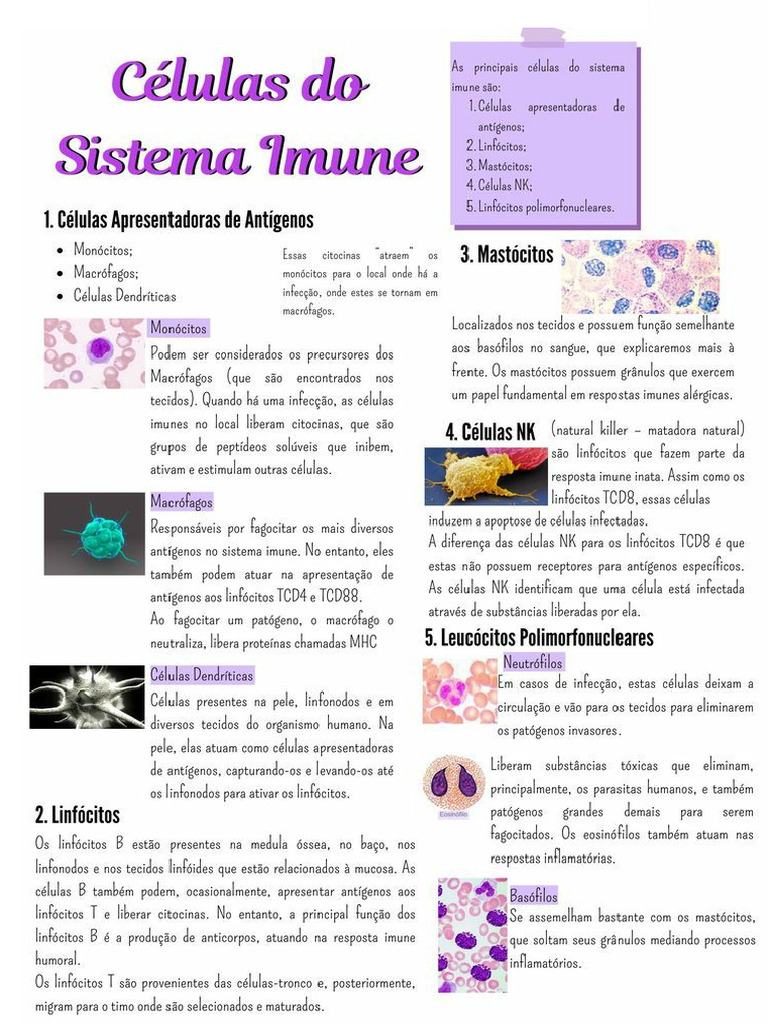 Células Do Sistema Imune.mapa | PDF
