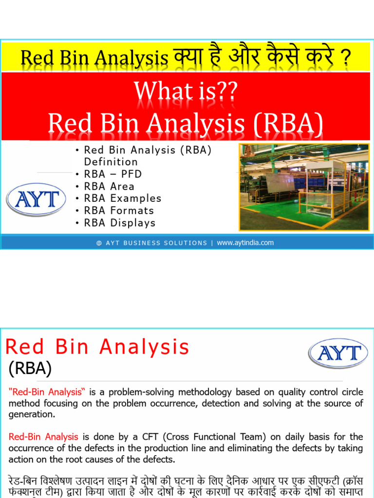 Red Bin Analysis Methodology Guide | PDF | Cognition | Systems Theory