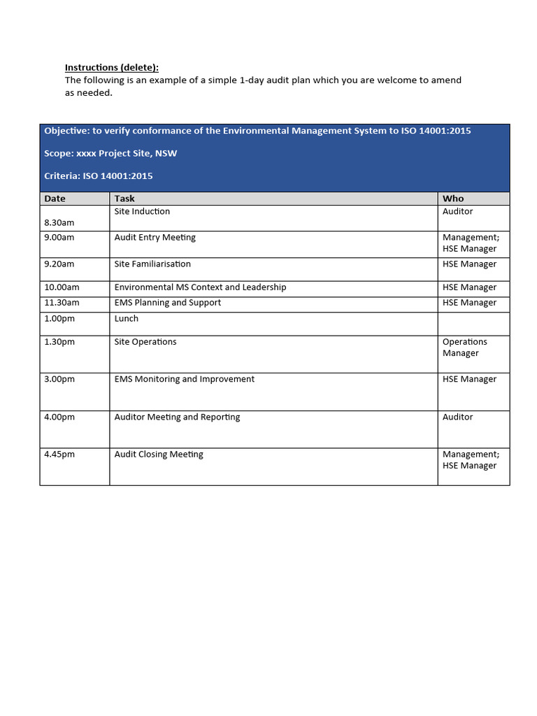 Internal Audit Plan | PDF