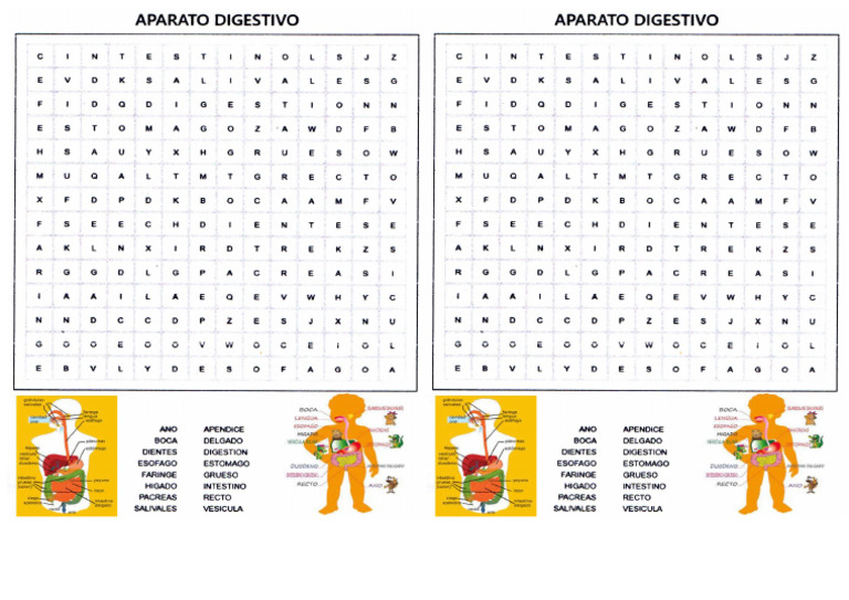 Sopa Letras Aparato Digestivo 56473546587 | PDF