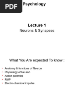 Biological Psychology: Nerve Cells Overview | PDF | Neuron | Action ...