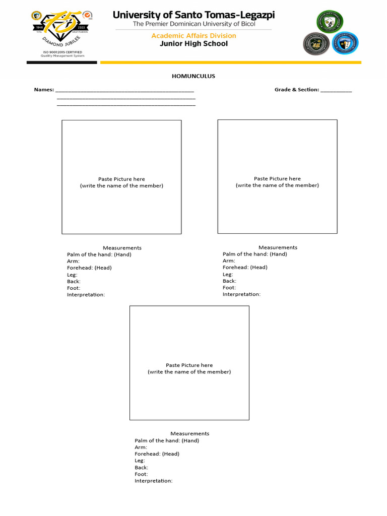 Homunculus Measurement Template | PDF