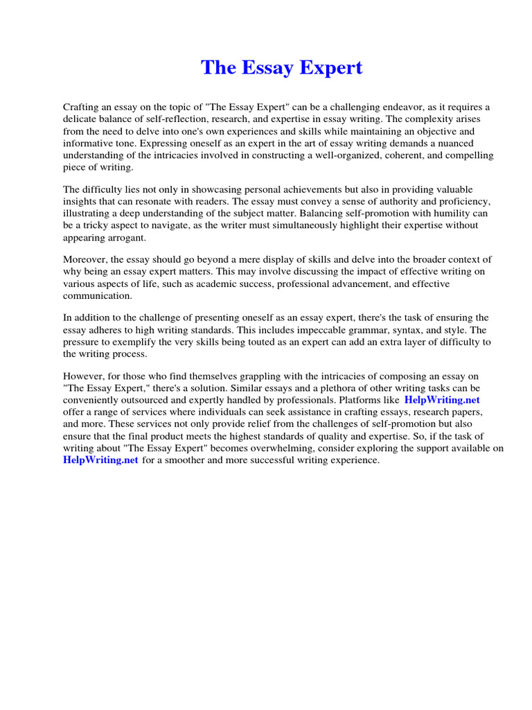 The Essay Expert | PDF
