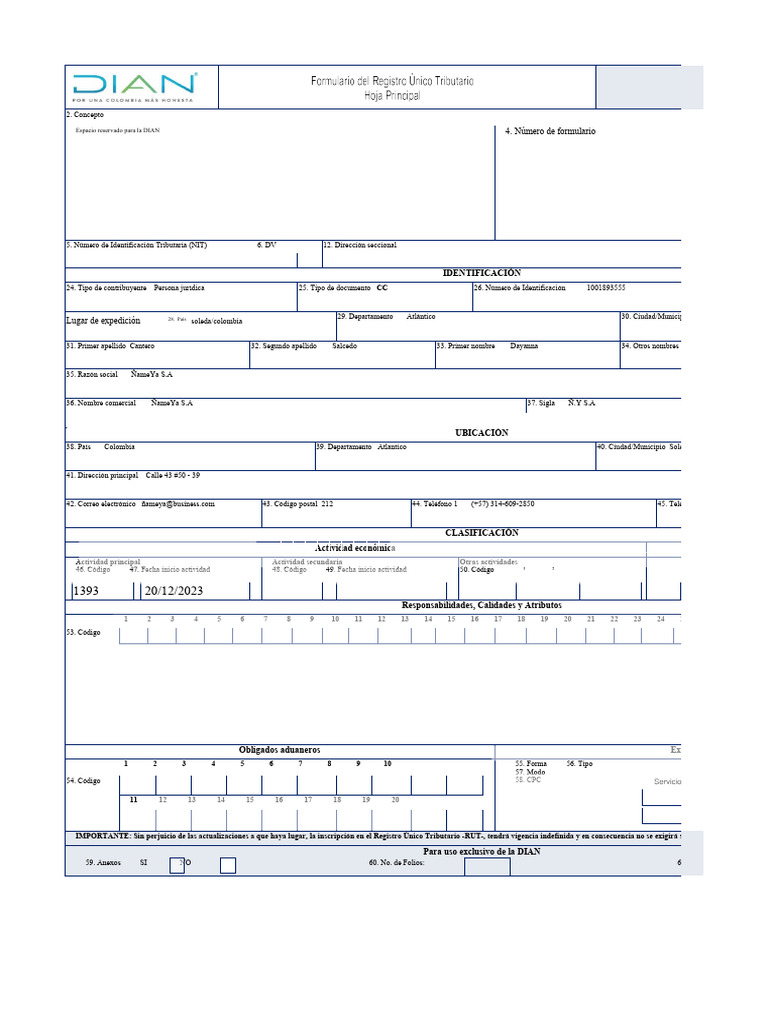 Registro RUT de ÑameYa S.A. | PDF