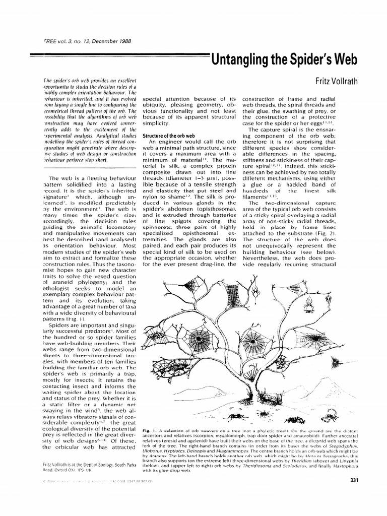 Analyzing Orb Web Construction Rules | PDF | Spider | Spider Web