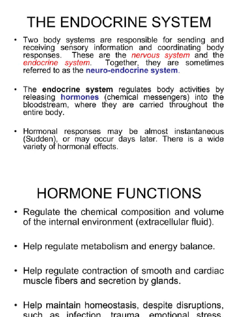 Real Endocrine System | PDF