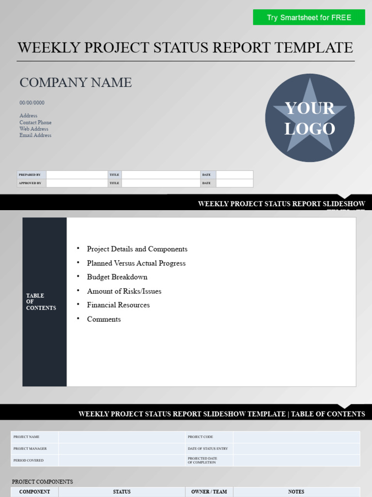IC Weekly Project Status Report Slideshow 11416 - PowerPoint | PDF ...
