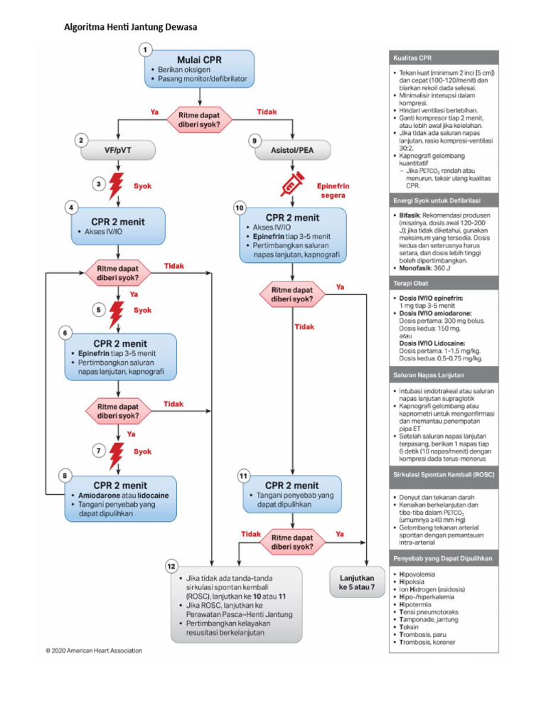 Kumpulan Algoritma Acls 2020 | PDF
