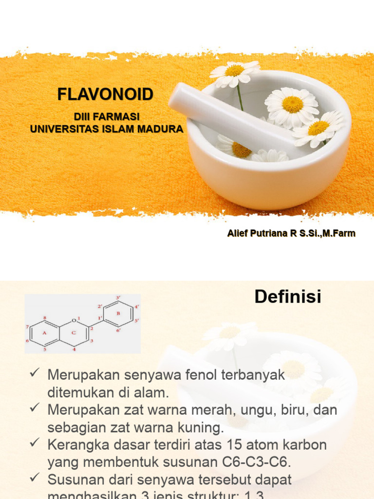 Senyawa Flavonoid | PDF