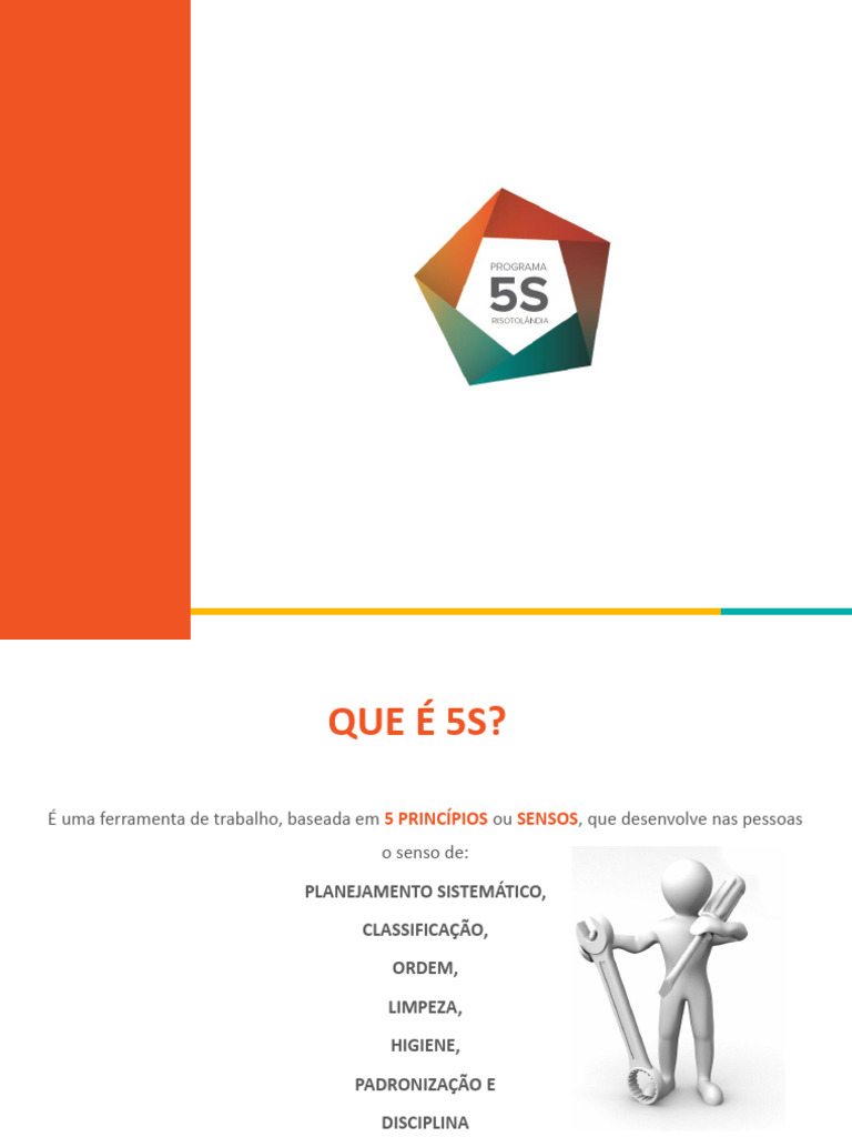 Programa 5s | PDF